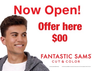 Fantastic Sams. YARD SIGNS